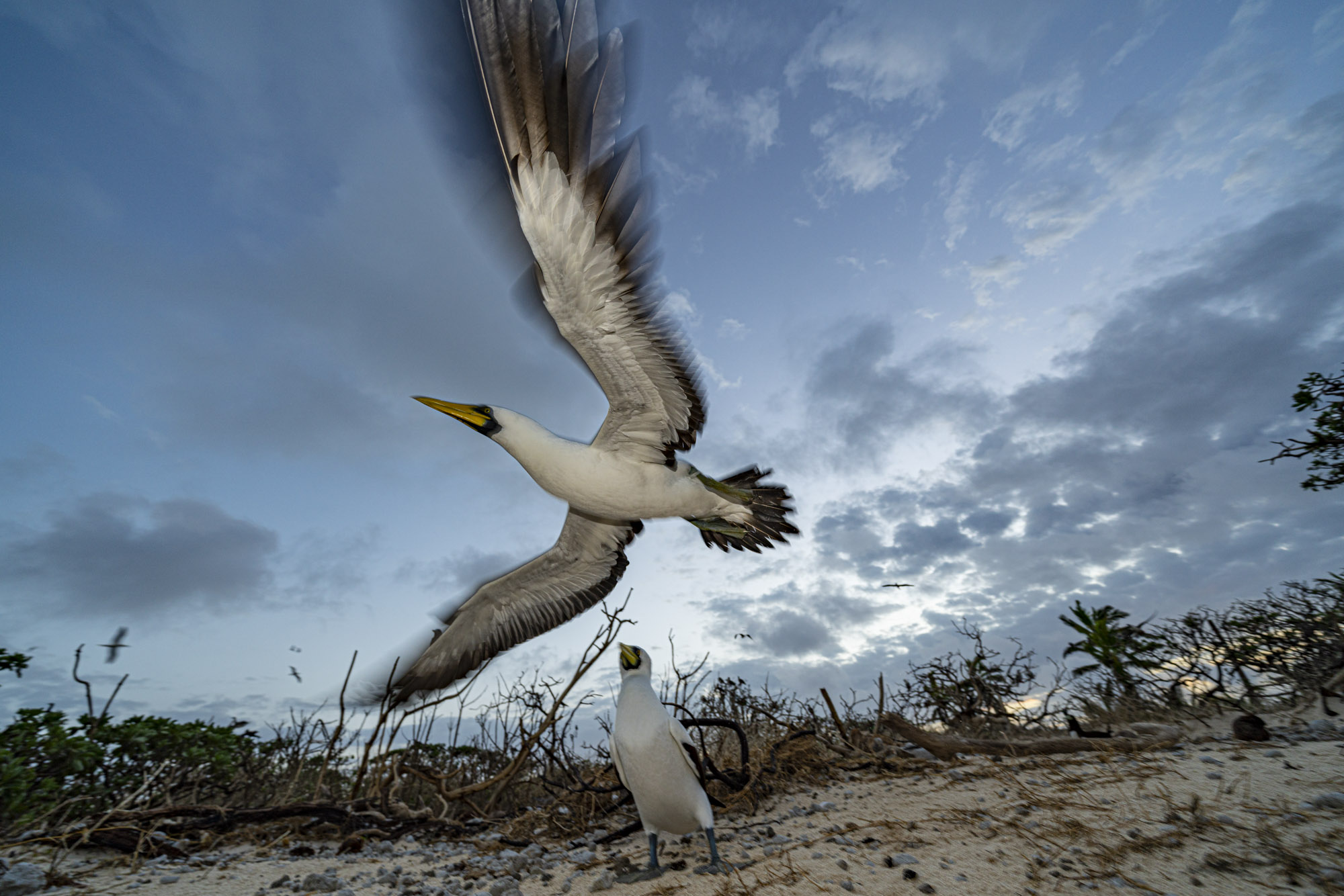 Préserver la biodiversité | Festival Photo La Gacilly